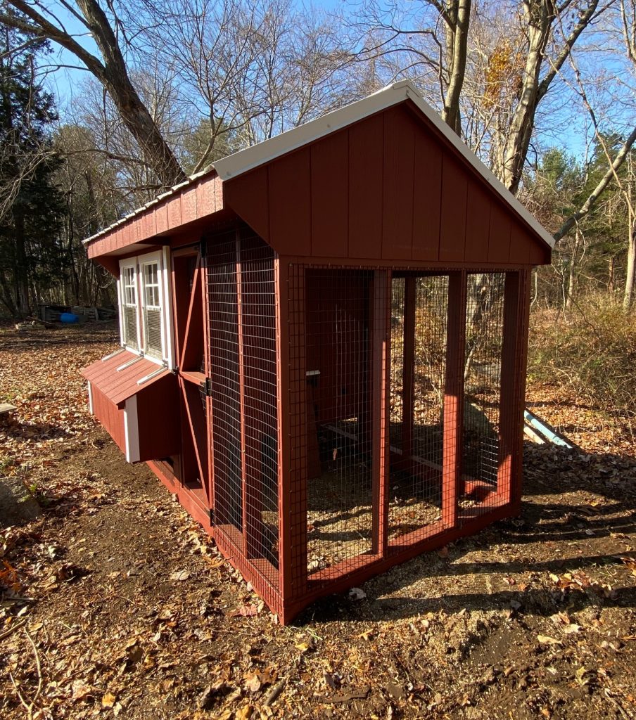Quaker Chicken Coop with Run - Gazebo Joe's